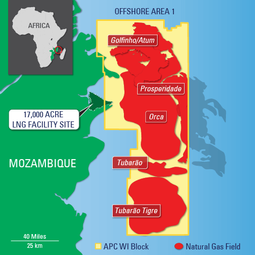Oil & Gas Industry: Mozambique LNG Development to Launch by Year-end ...